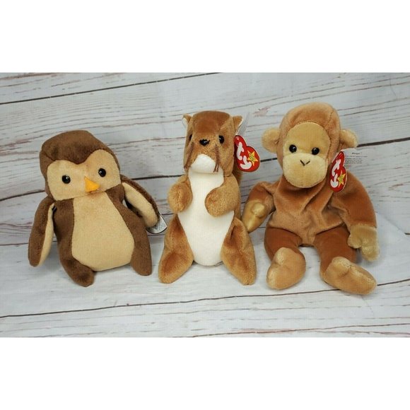 Ty | Other | Vintage Bongo Hoot Nuts Retired Ty Beanie Babies Wild Life ...